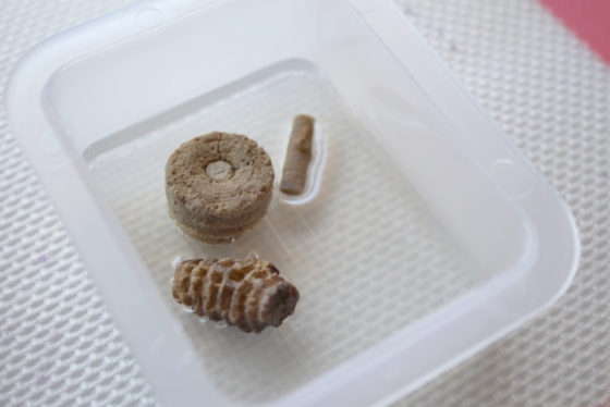 DIY: Clear Casting Resin Paperweights - Resin Crafts Blog