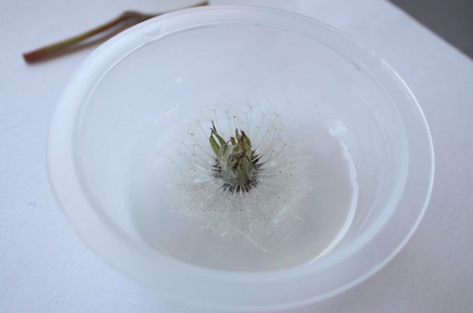 casting objects in resin paperweights diy tutorial (17) - Resin Crafts Blog