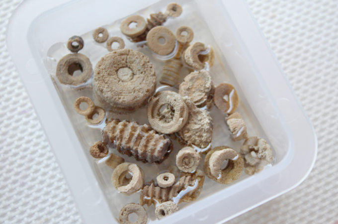 casting objects in resin paperweights diy tutorial (5) - Resin Crafts Blog