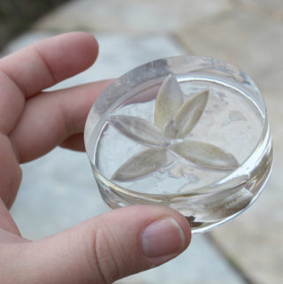 DIY: Clear Casting Resin Paperweights - Resin Crafts Blog
