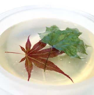 DIY Late-Summer Maple Leaf Resin Paperweight - Resin Crafts Blog