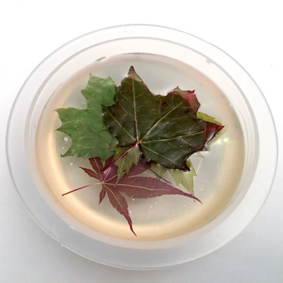 DIY Late-Summer Maple Leaf Resin Paperweight - Resin Crafts Blog
