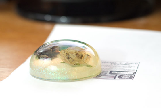 DIY Flower Paperweight - Layering Resin Tutorial - Resin Crafts Blog