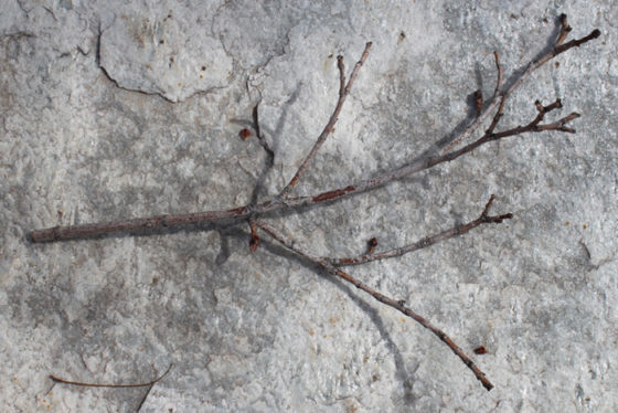 Gold Jewelry Resin Tree Hanger DIY Resin Crafts