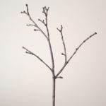 Gold Jewelry Resin Tree Hanger DIY Resin Crafts