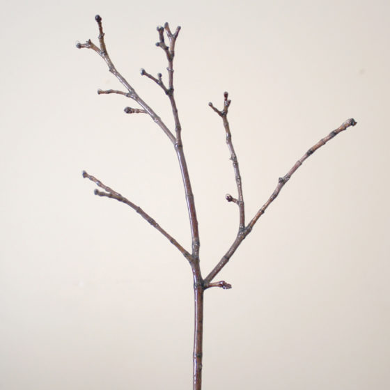 Gold Jewelry Resin Tree Hanger DIY Resin Crafts