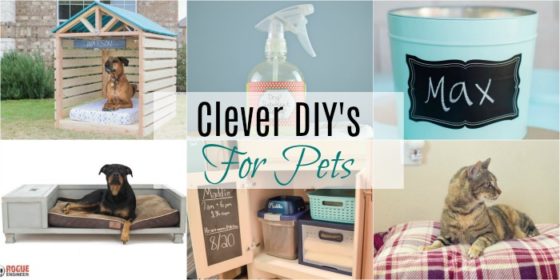 Clever DIY's for Pets - Resin Crafts Blog