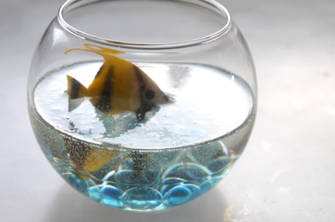 fish in resin fishbowl easy to care for pet (6) - Resin Crafts Blog