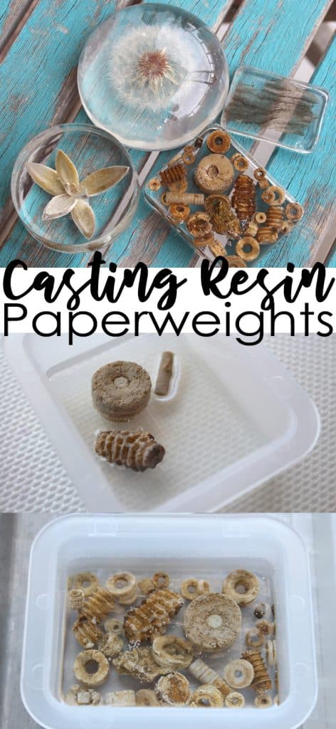 casting-objects-in-resin-paperweights-diy-tutorial-1 - Resin Crafts Blog