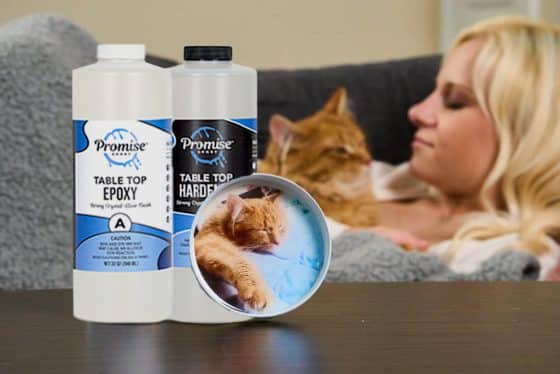 How to Make DIY Epoxy Resin Cat Coasters - Resin Crafts Blog