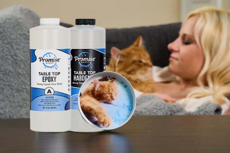 How to Make DIY Epoxy Resin Cat Coasters - Resin Crafts Blog
